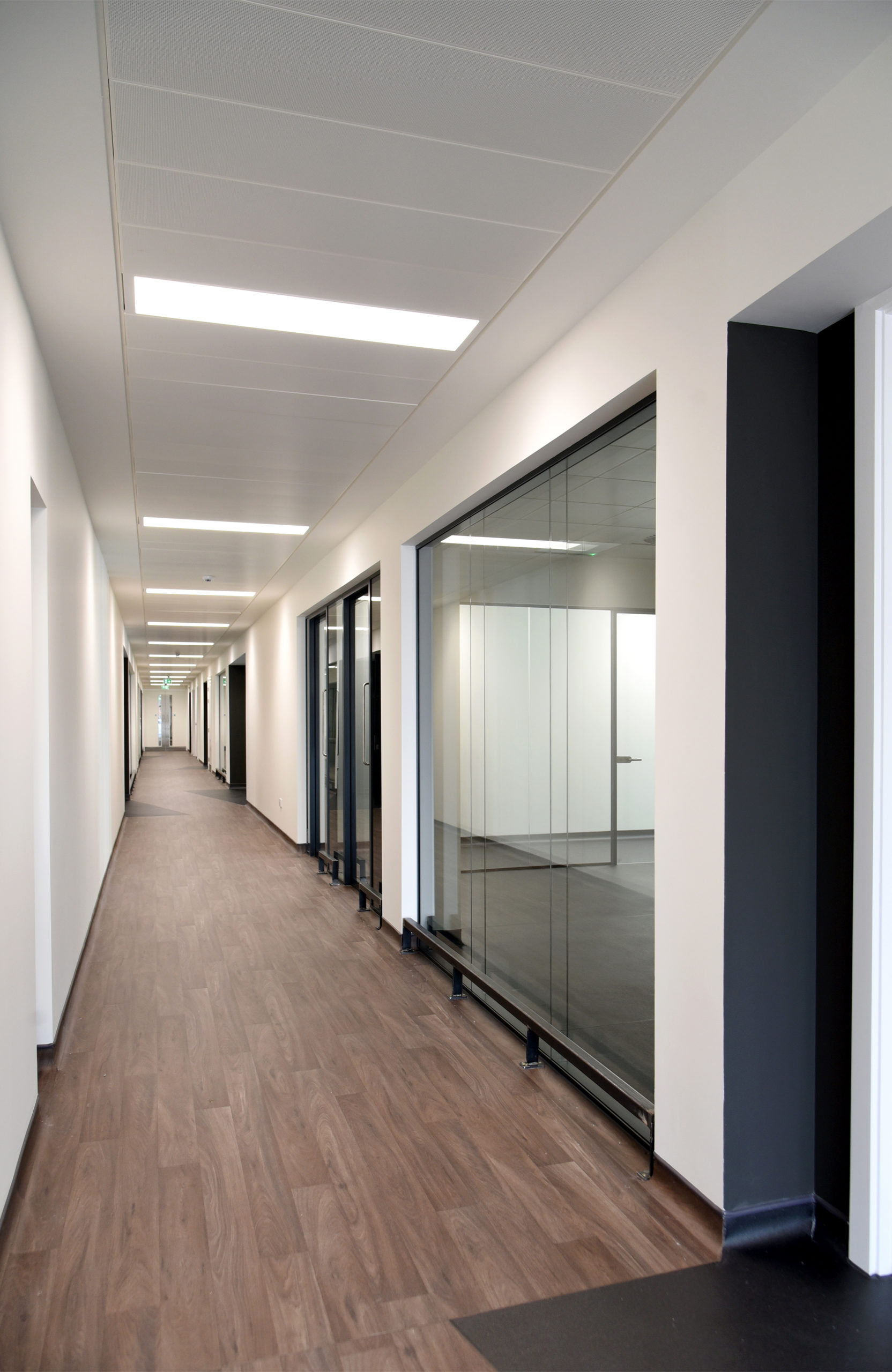 Menstrie IST Laboratory Building | Projects | Veitchi Interiors